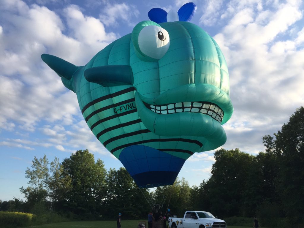 Special Shape Hot Air Balloons – Ottawa Hot Air – Your local Ottawa ...