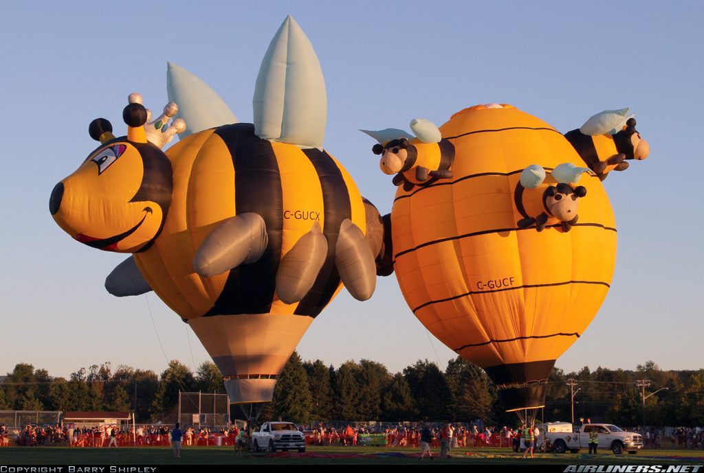 Special Shape Hot Air Balloons – Ottawa Hot Air – Your local Ottawa ...